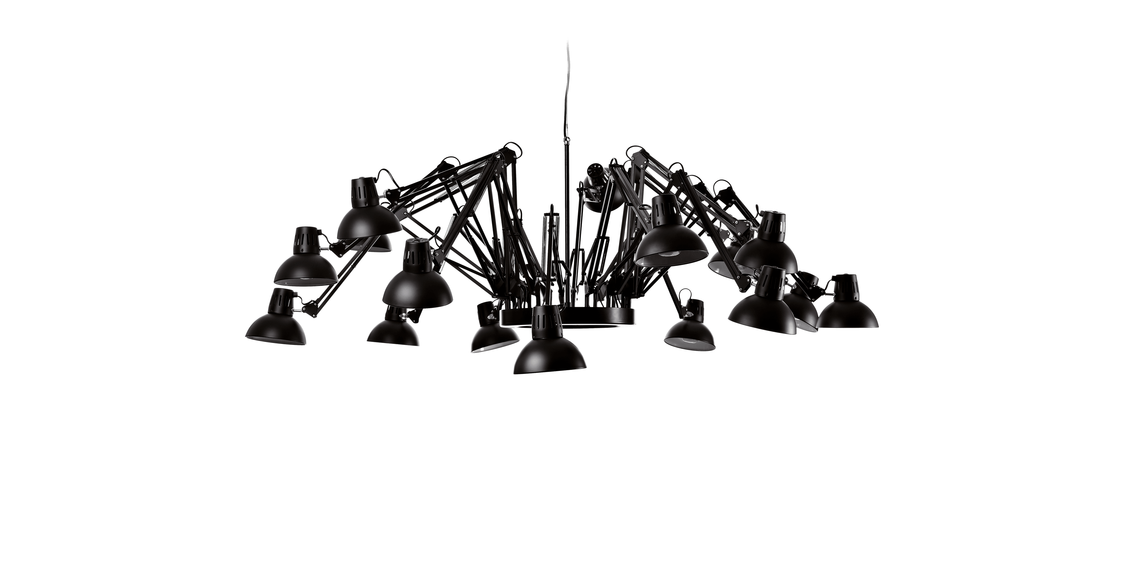 Dear Ingo - Moooi